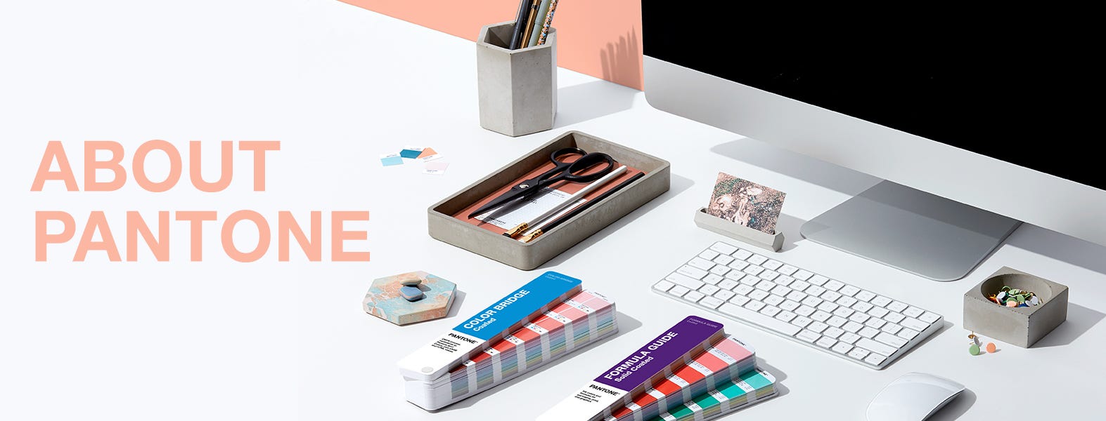 Who we Are | Pantone Australia