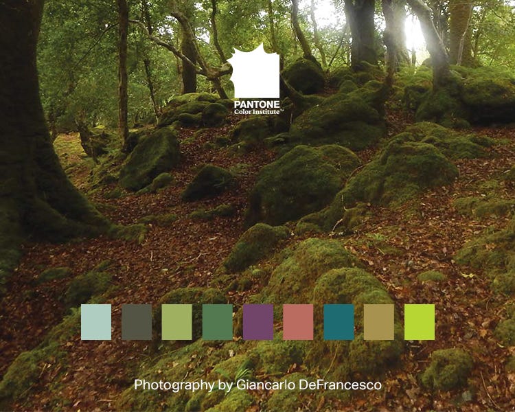 Pantone Colour Institute | Pantone Australia