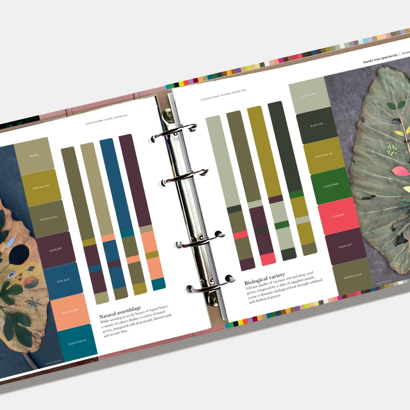 PANTONEVIEW Colour Planner Autumn/Winter 25/26 - Pantone PANTONEVIEW Colour Planner Autumn/Winter 25/26 - Pantone